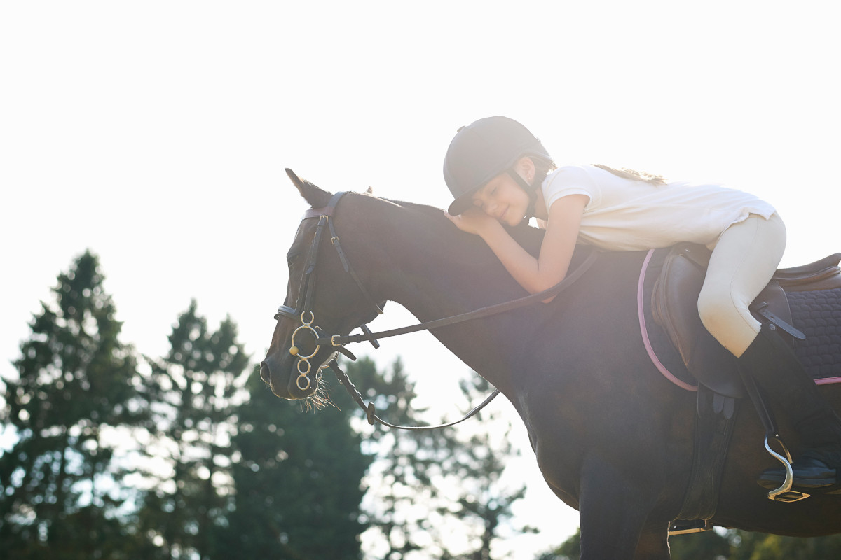 Benessere Del Cavallo Ed Equitazione Etica: Guida Alla Comunicazione ...